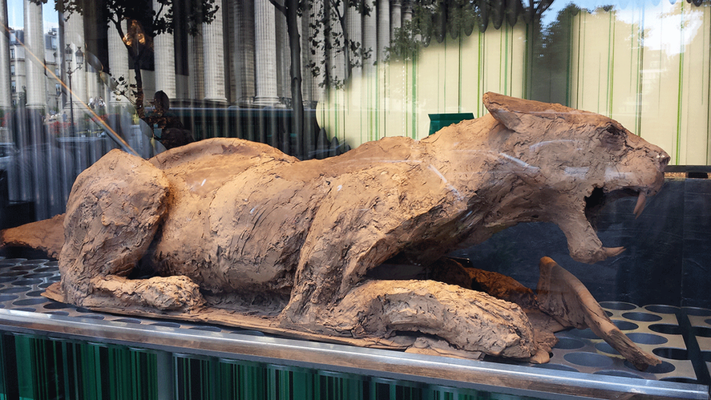 Top 5 das melhores chocolaterias de Paris | Bem in Paris